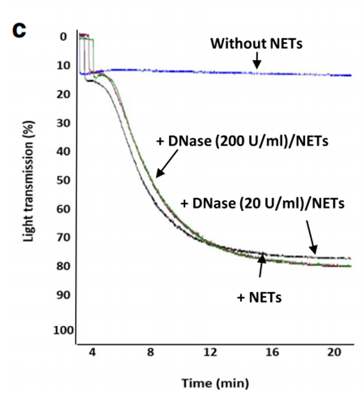 文献学习5 | 传统抗凝治疗能否解决凝血新机制NETs-重症肺言